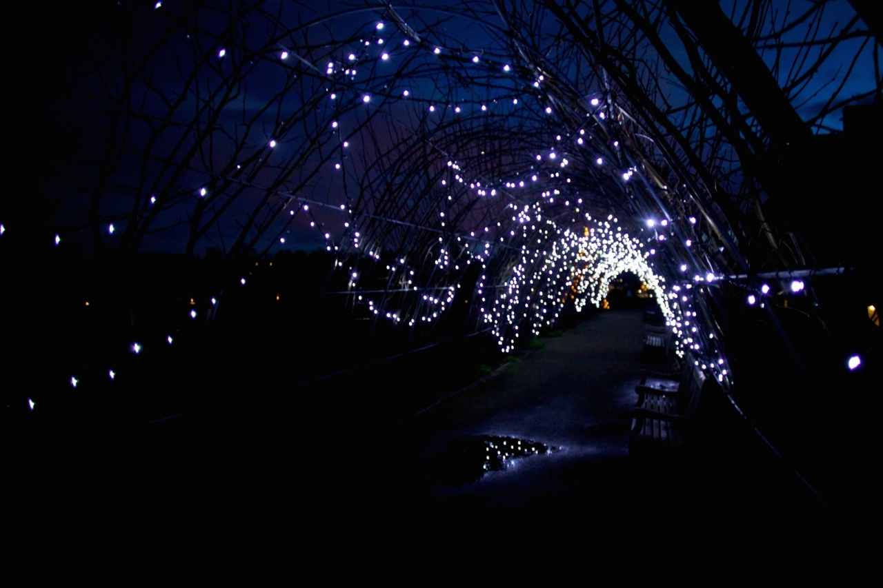 Event Lighting Hire Fortitude Valley | Festoon Lighting Brisbane