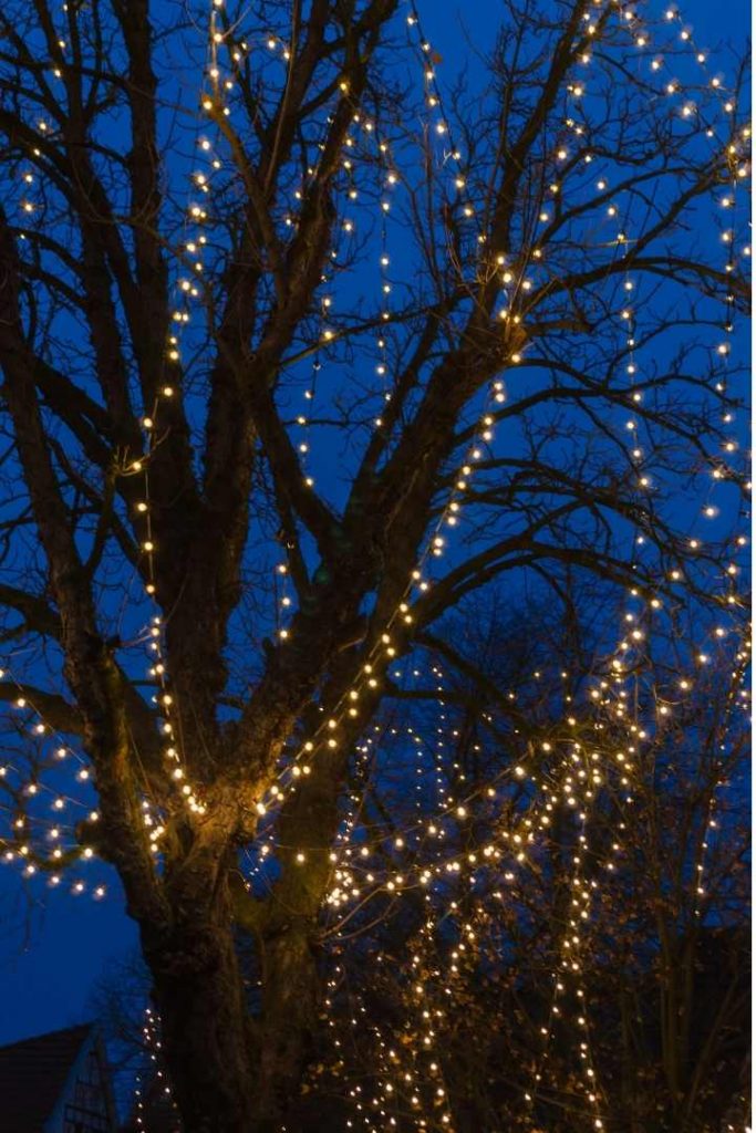 Install Permanent Outdoor LED Decorative Lights in Brisbane